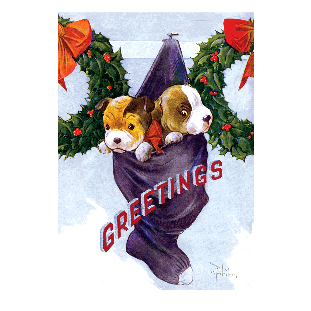 Dogs at Christmas Boxed Card Set | Laughing Elephant – English Country ...