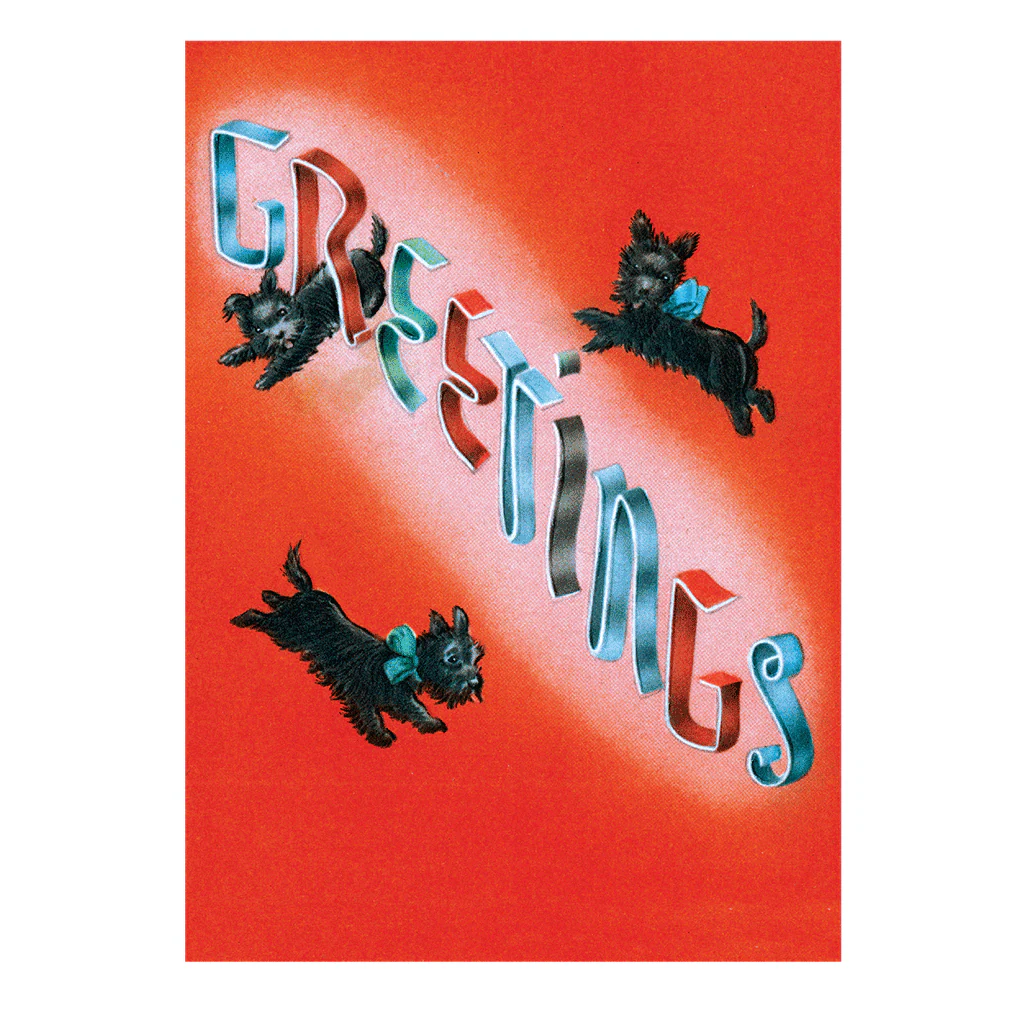 Dogs at Christmas Boxed Card Set | Laughing Elephant – English Country ...